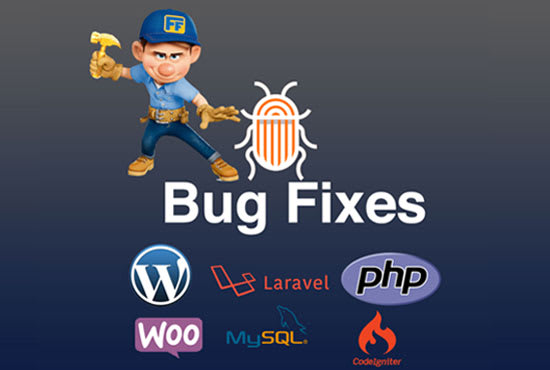 Fix Php Bugs Mysql Errors Codeigniter Wordpress Laravel By
