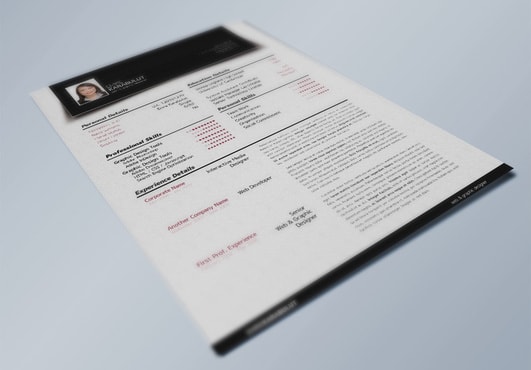 Create a simple, elegant and swiss style resume by Social_geek | Fiverr