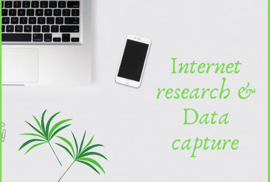 Do internet research and data capture by Beepmac81 | Fiverr