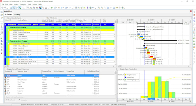 Create gantt chart and do costing using primavera p6 by Hamdoonmal | Fiverr