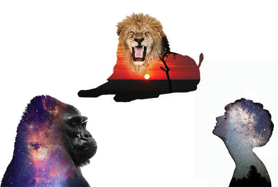 Create a unique double exposure image with your photo by Bravewanderer ...