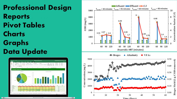 Create advance excel graph and charts by Aamirshahzad980 | Fiverr