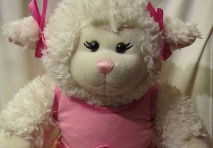 Have lambie record a special message for you by Lambiecam | Fiverr