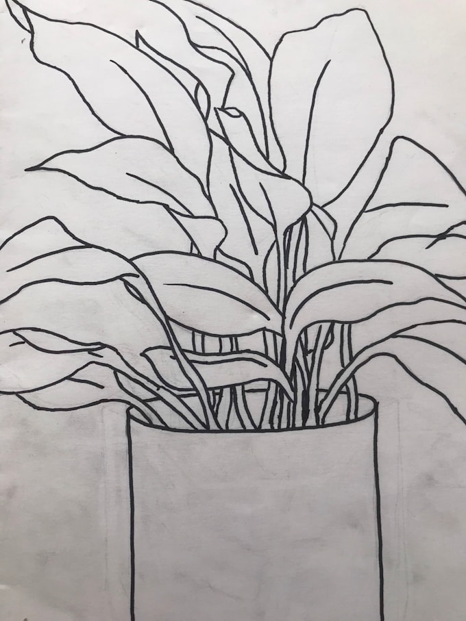 Sketch or illustrate a plant by Krabbyboi | Fiverr