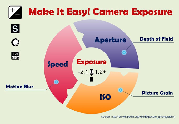 Create an exceptional mini infographic by Daniele | Fiverr