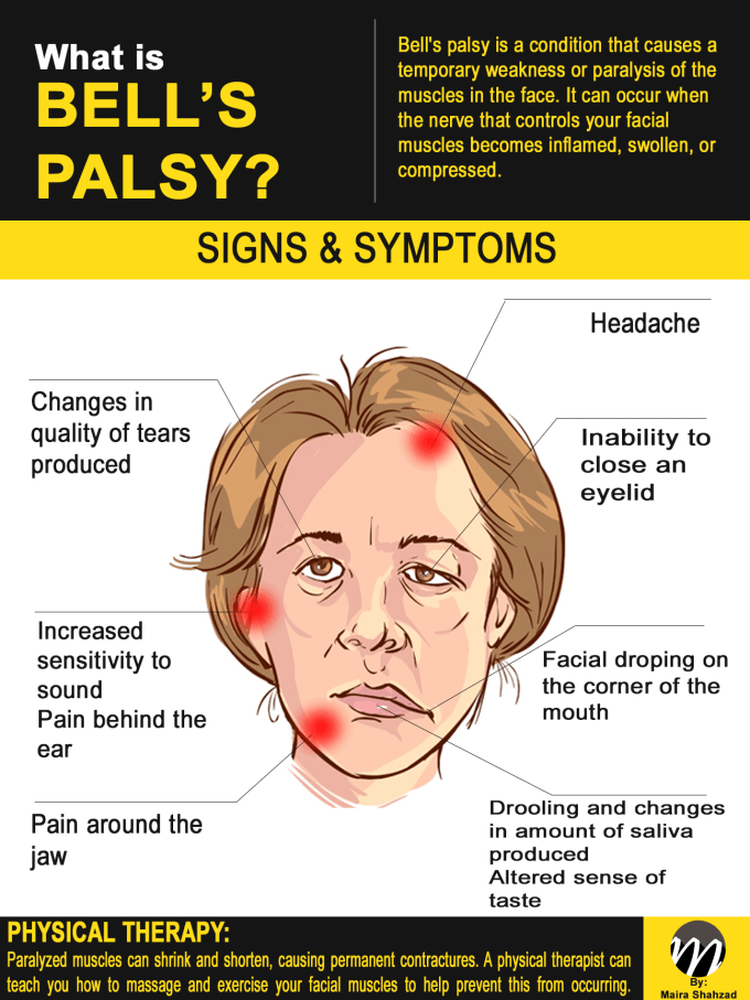 Create professional eye catching infographic by Mairashahzad | Fiverr Create professional eye catching infographic by Mairashahzad | Fiverr