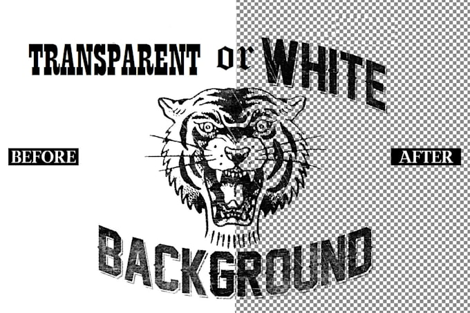 Give your images transparent background in 1 hour by Tolusimi | Fiverr