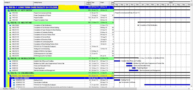 Make your primavera p6 project schedule by Rahimali31 | Fiverr
