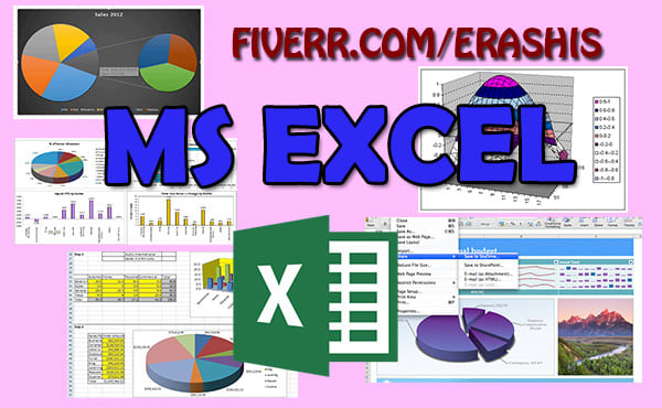 Do any ms excel task by Erashis | Fiverr