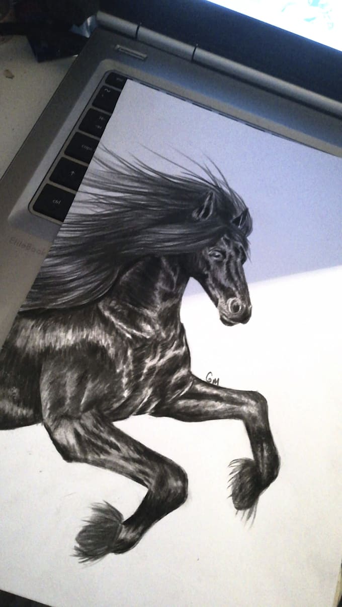 Draw anything realistic or cartoon by Okashi_arts | Fiverr