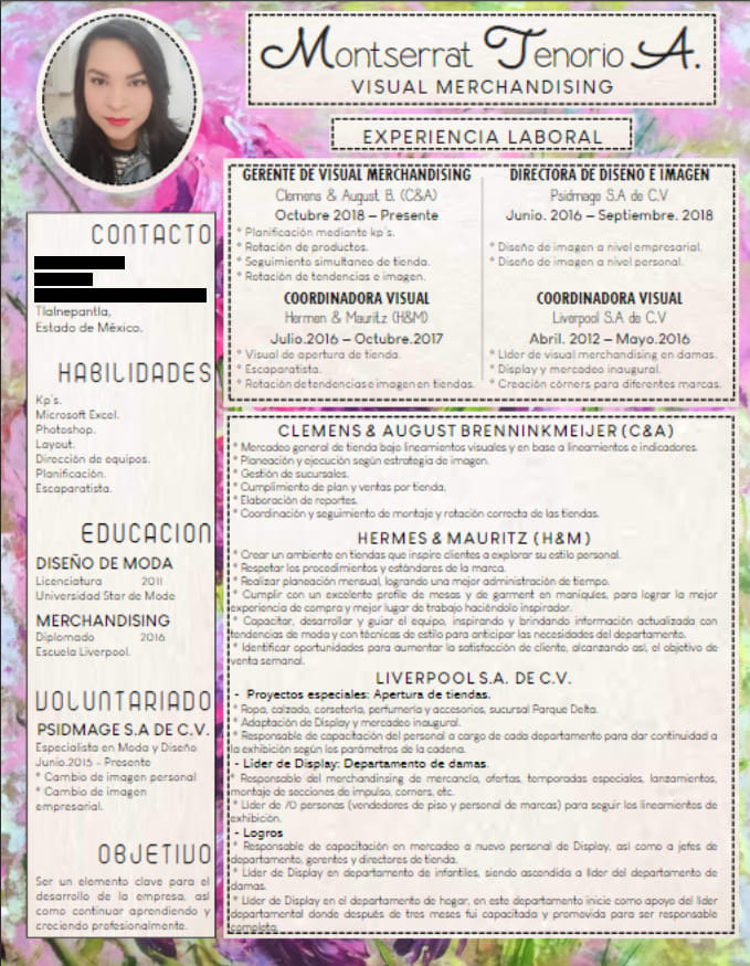 Create classy and standout resumes by Denyanine | Fiverr