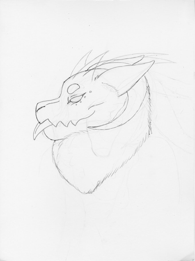 Custom fursona drawings of your choice by Astrosdracos | Fiverr