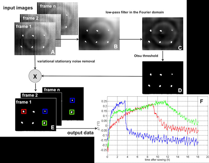 Train you an image segmentation model by Aiworx | Fiverr