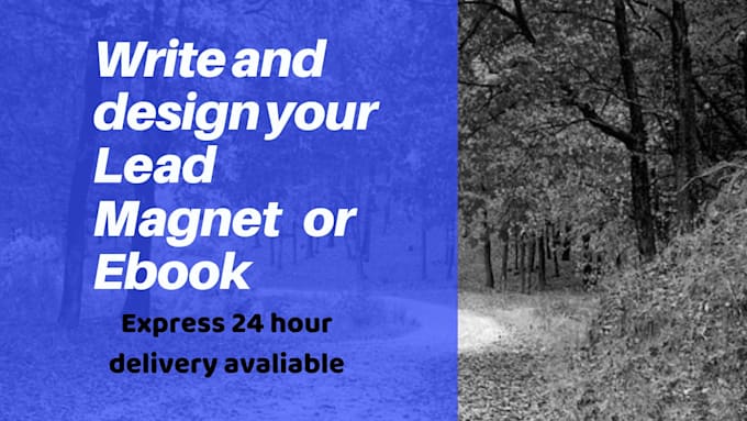 Design and write lead magnet ebook by Printablemaster | Fiverr