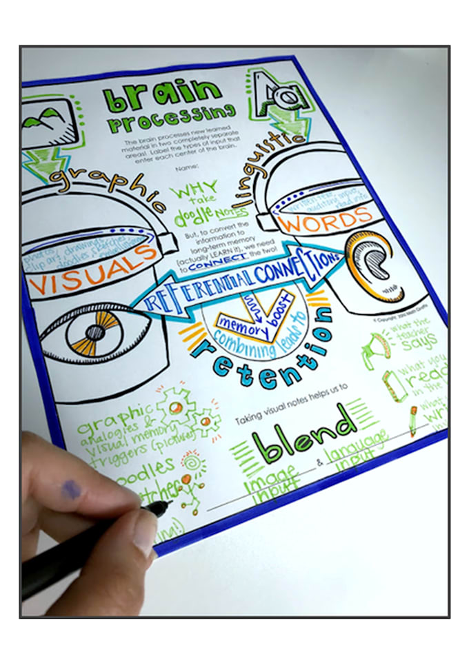 Turn your notes into an illustrated chart by Inkymarco | Fiverr