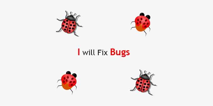 Bug fixes for your laravel application by Hasnainabid | Fiverr