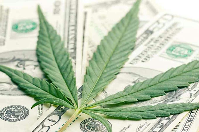 Promote cbd,cannabis,marijuana content on my 14k weed instagram page by ...