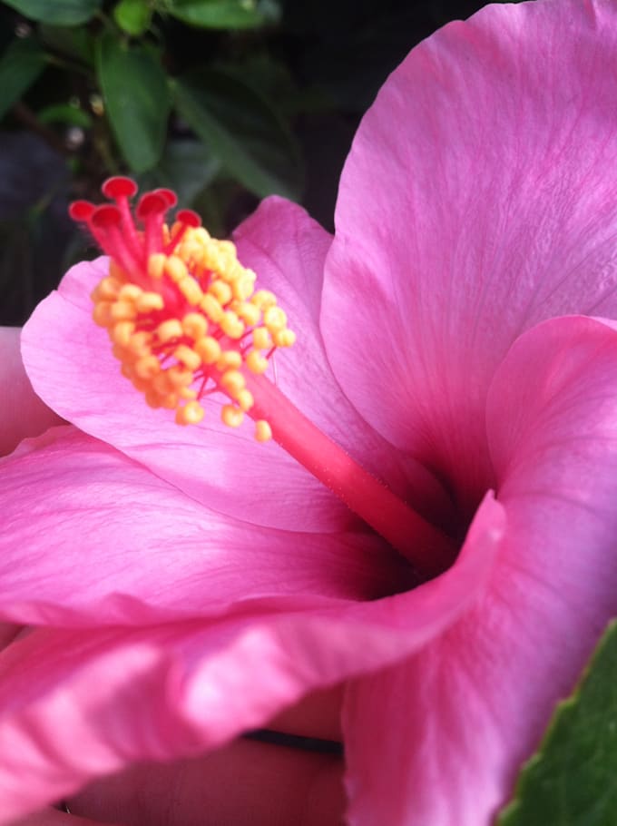 Proofread and make edits to make your paper sound more professional by ...