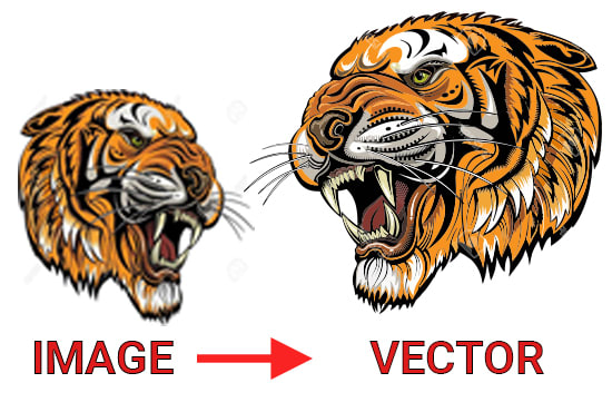 Vectorize, redraw, trace, recreate logo in adobe illustrator by ...