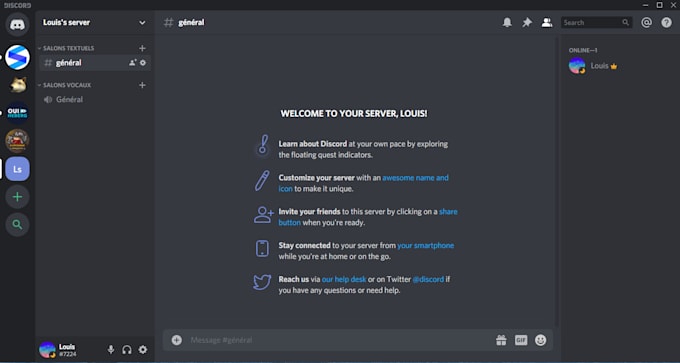 Making a discord server by Louisravignot | Fiverr