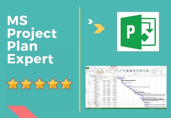 Create visual project plans in ms project by Ciarastokes | Fiverr