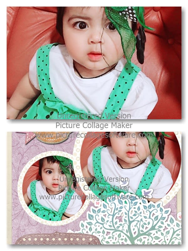 Bulk photo resize and crop picture, image resizing, logo reshape or ...