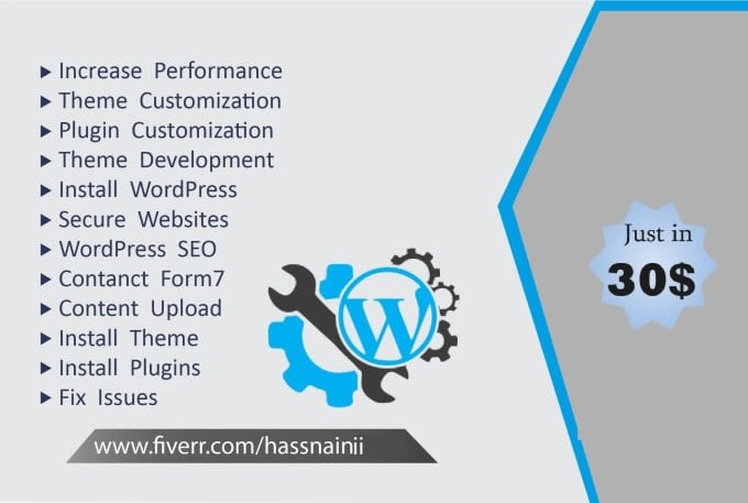 Fix wordpress errors and customize theme and plugins by Hasnainii | Fiverr