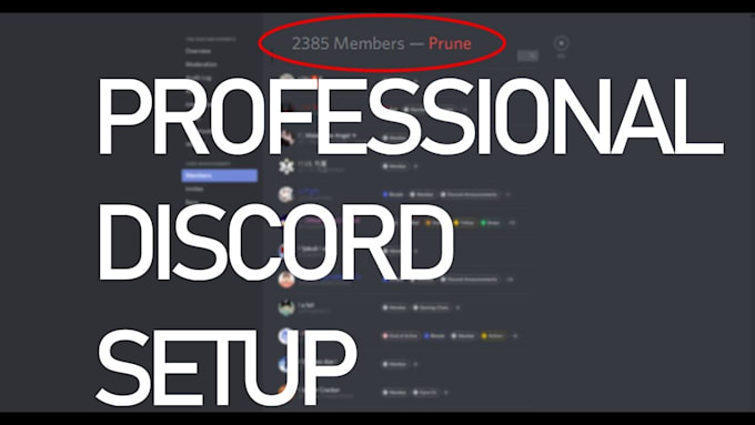 Create a professional and custom discord server by Cyplayz | Fiverr