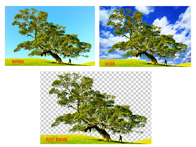 Edit photoshop with the most difficult details by Andrirajunas | Fiverr