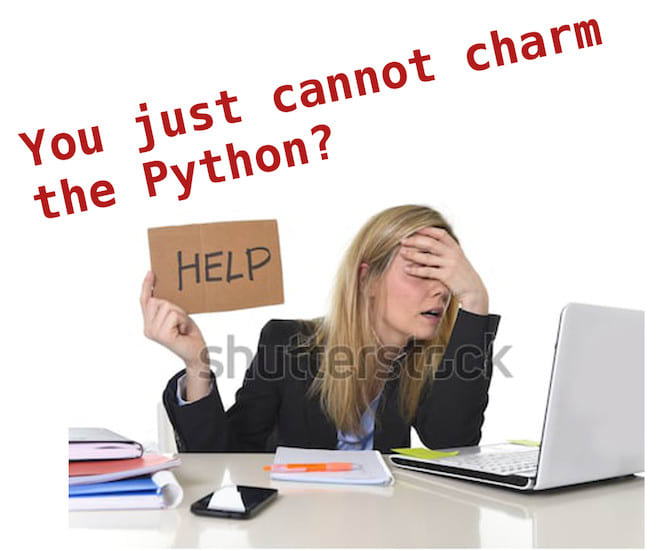 Review your python code by Dennistulmer | Fiverr