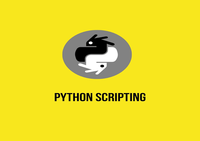 Create python scripts based on your requirements by Nensitrambadiya | Fiverr