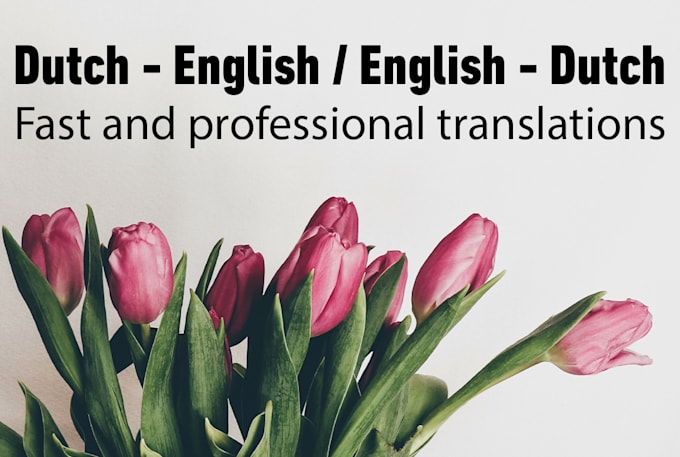 Translate dutch to english and vice versa by Letsers | Fiverr