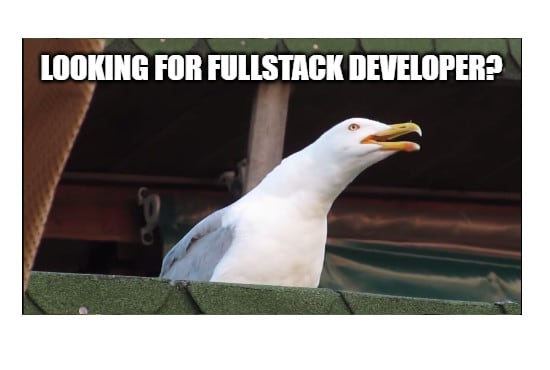 Fullstack Development Using Csharp Dotnetcore And Reactjs By