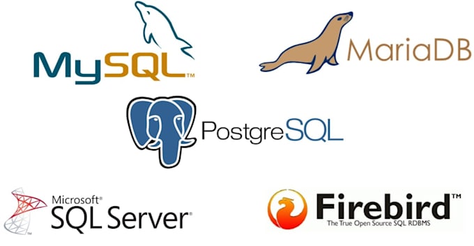 Do your sql database query, projects and development by Rmendozam | Fiverr