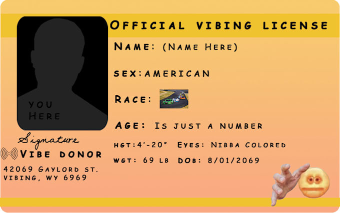 Make you a vibing license by Thevietboy | Fiverr