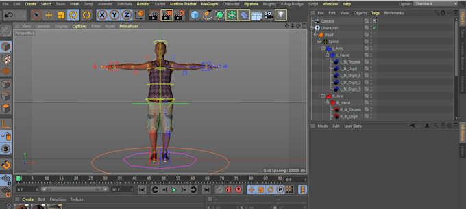Create rigs for games and computer animation by Graphiks_home | Fiverr