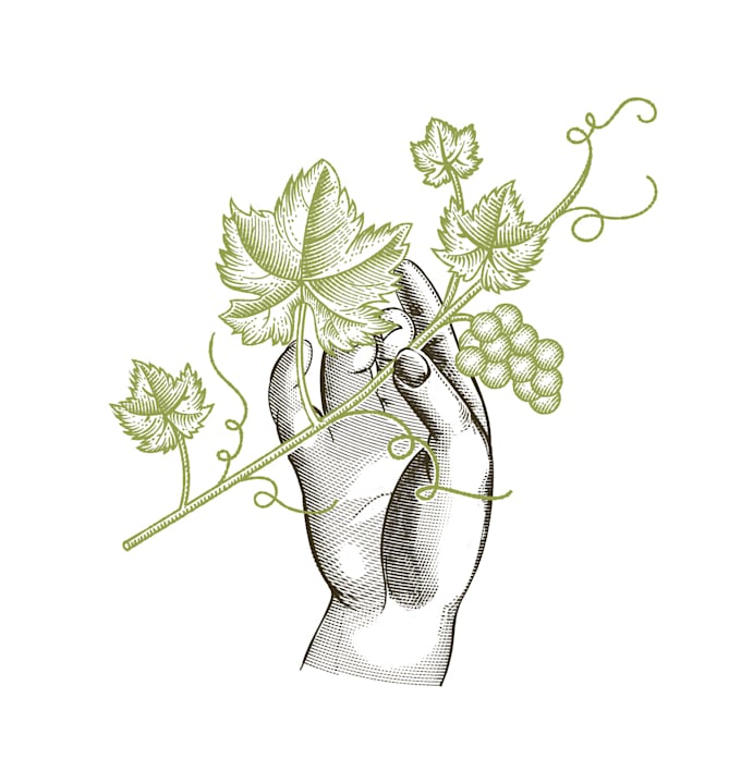 Create vintage engraving or etching style illustration by Katedidyk ...