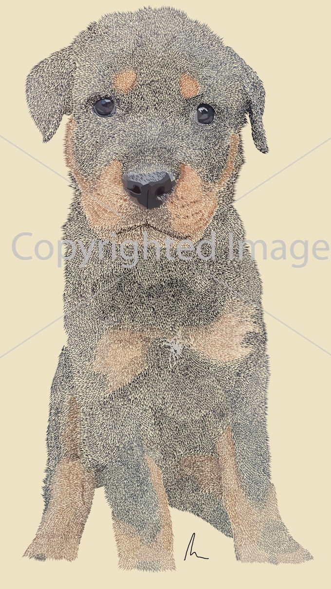 Draw any animal portraits by Feralfenixart | Fiverr