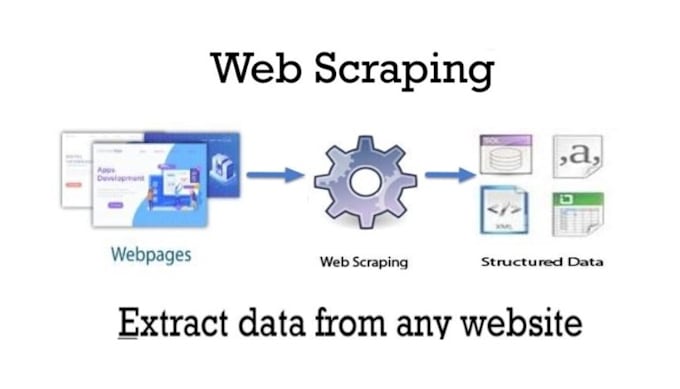 Do web scraping and crawling of any website and extract data by Tiya_tiya | Fiverr