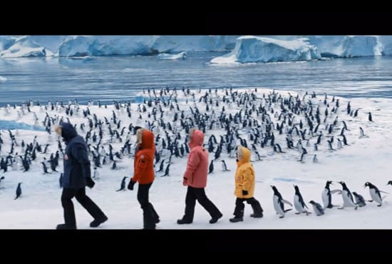 Do a high quality vfx compositing works by Vfxdud3 | Fiverr