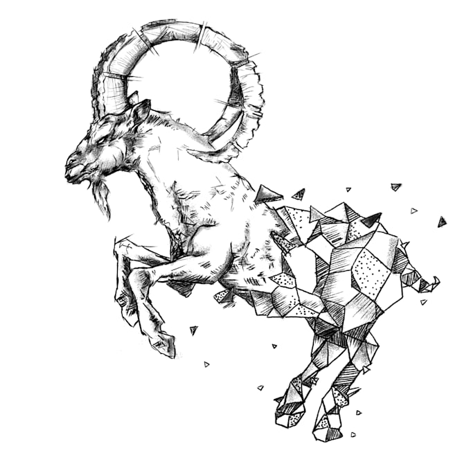 Do high quality pencil sketch by Princesssketch | Fiverr