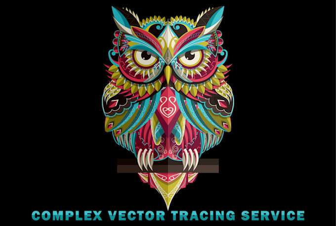 Vector trace complex image,tracing anything,maually tracing by ...