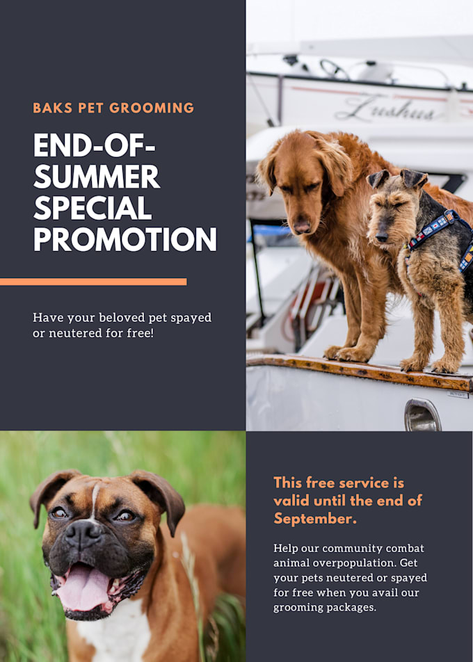 Create different types of flyer by Aihelloo | Fiverr