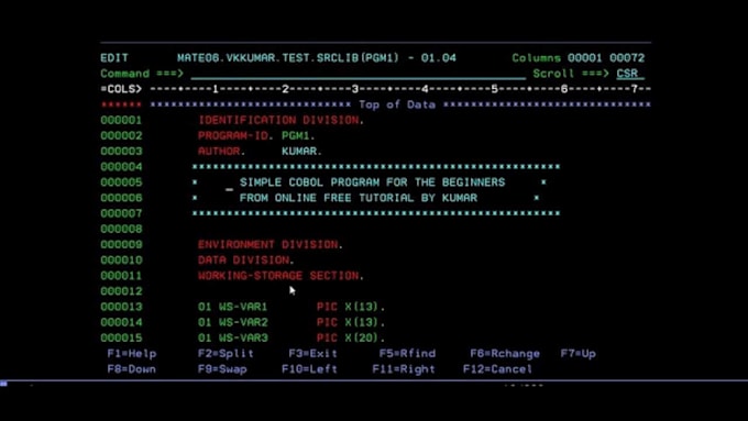 Help you with any testing activity and mainframe coding by Techpro2110 ...