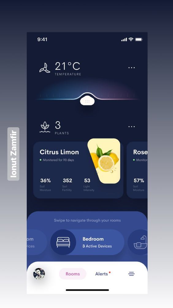 Design modern app ui and interactive prototype by Litao1992 | Fiverr