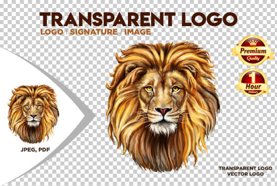 Make a transparent background logo with a png file by Zeshanqaz1 | Fiverr