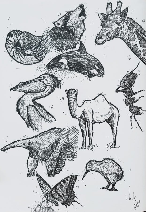 Make high quality hand drawings and sketches by Pedro_heck | Fiverr