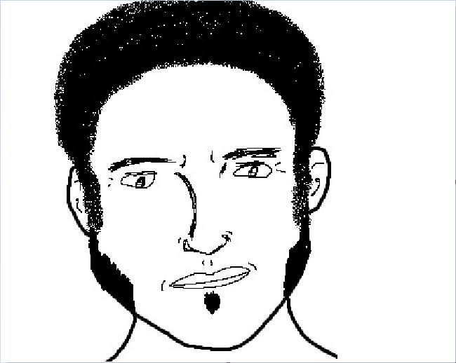 Draw a shitty portrait on ms paint by Cloroxjuicebox | Fiverr Draw a shitty portrait on ms paint by Cloroxjuicebox | Fiverr