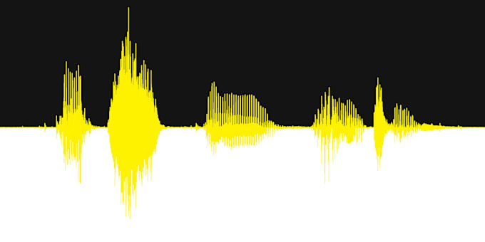 Create a custom sound wave artwork by Brookelar | Fiverr
