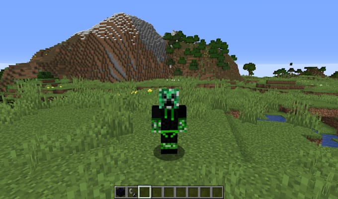 Design a custom minecraft skin by Enderman101 | Fiverr